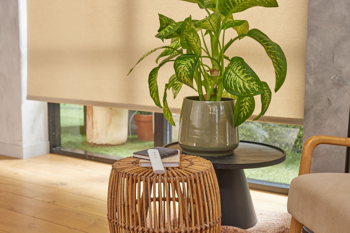 Smart Solutions for Interior Blind Controls in Australia